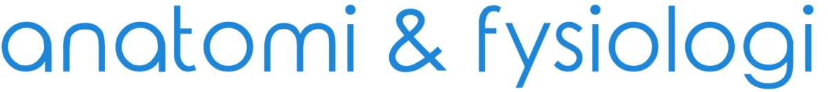 Handens skelett | Anatomi & Fysiologi